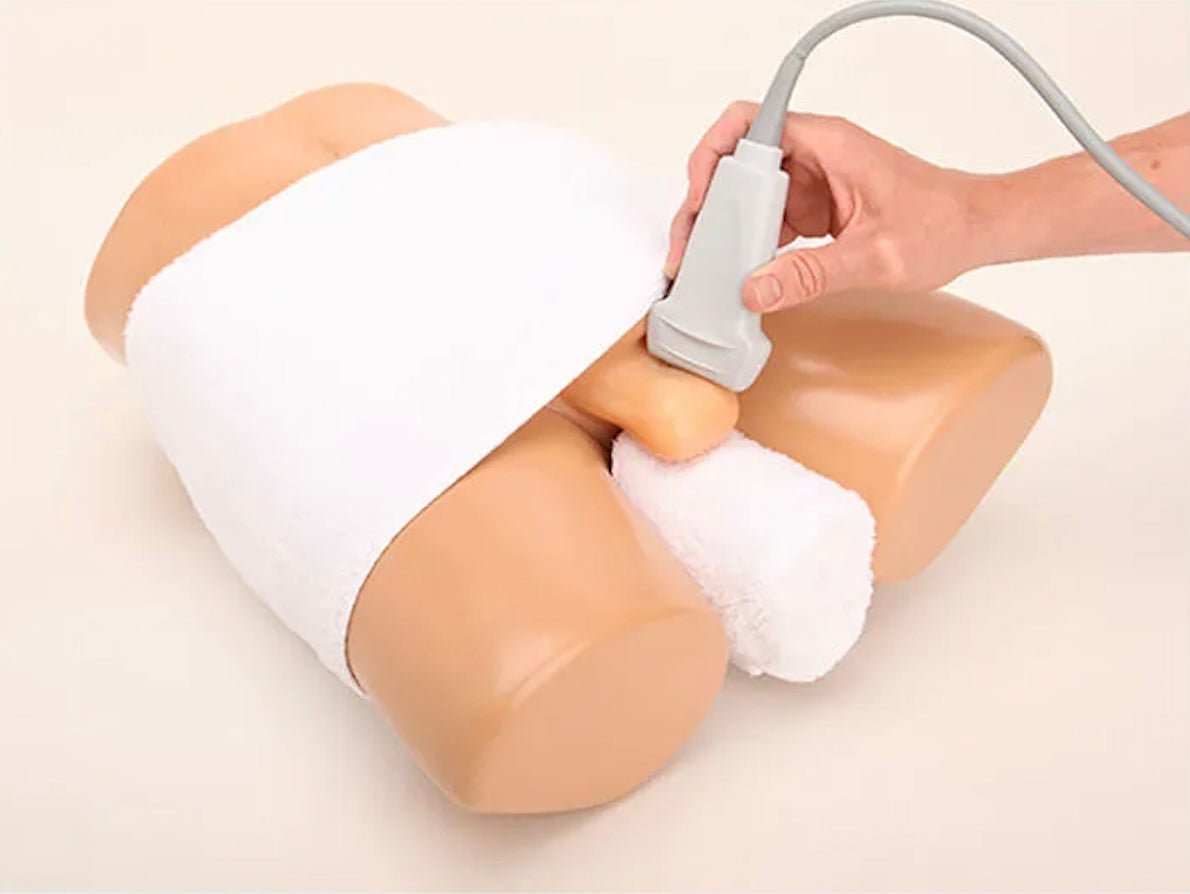 Cae Scrotal Ultrasound Training Phantom American Hospital Supply