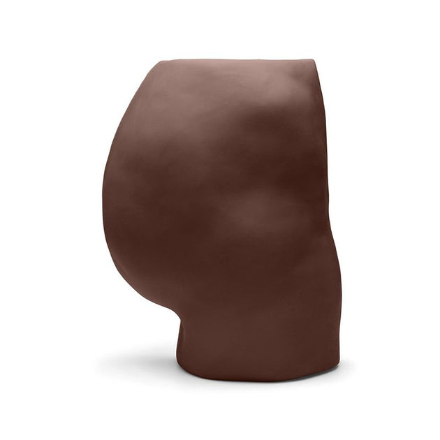 Adam Rouilly Ear Syringing Trainer, White | American Hospital Supply