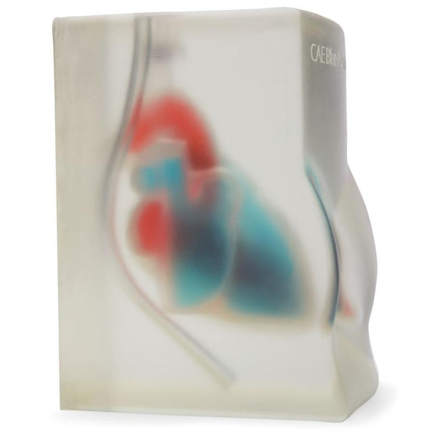 Blue Phantom Cardiac Training Model - Shop now at American Hospital Supply