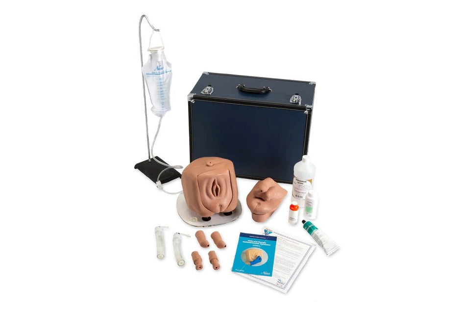 Male/Female Catheterization Simulator | American Hospital Supply